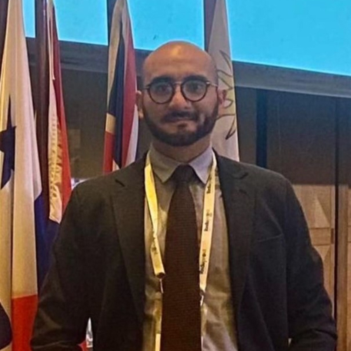 Laparoscopic bladder neck reconstruction using a buccal mucosal graft ...