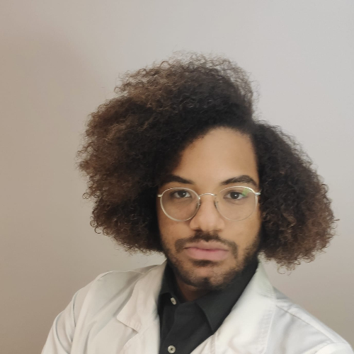 Video-assisted thoracoscopic left lower lobectomy in the treatment of ...